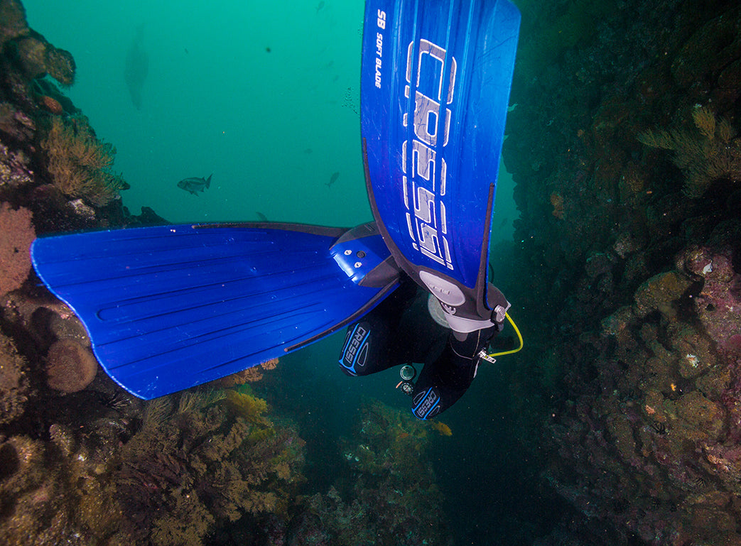 The correct cleaning of fins.